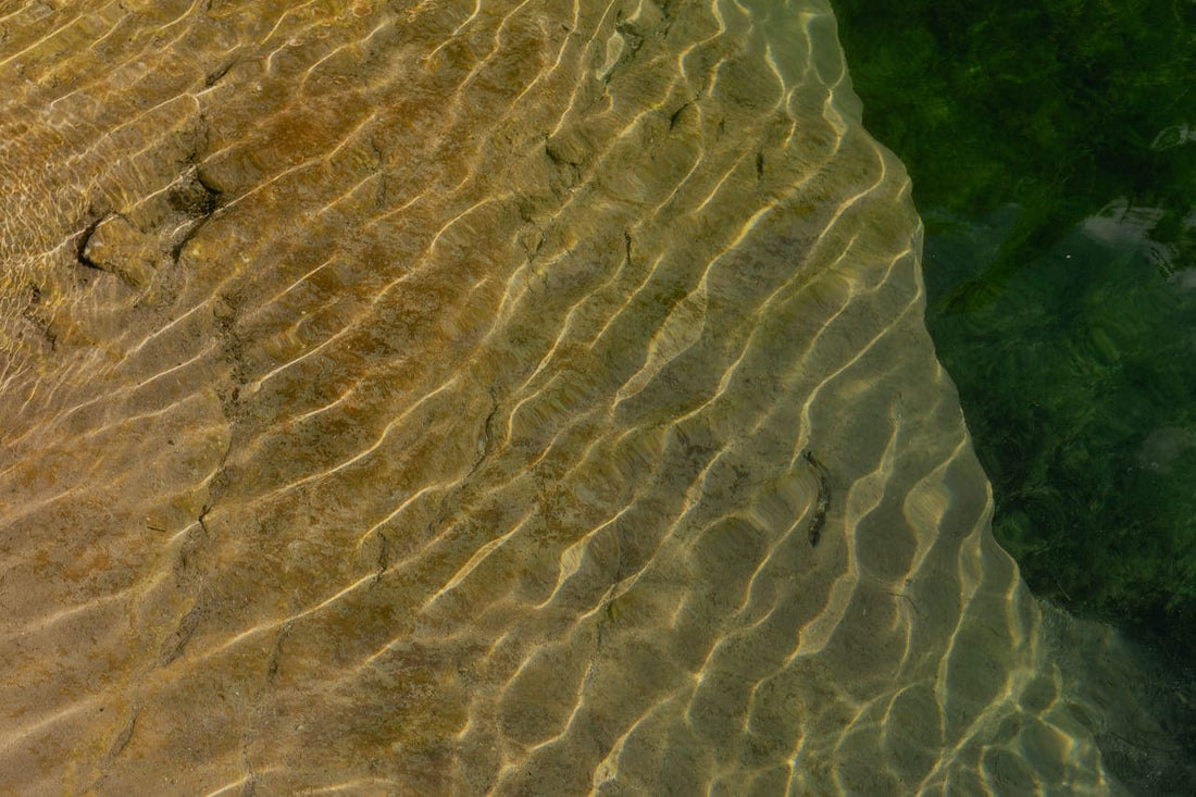 Probiotique flore intestinale Digest Delight de Kosbiotic®, formule ...