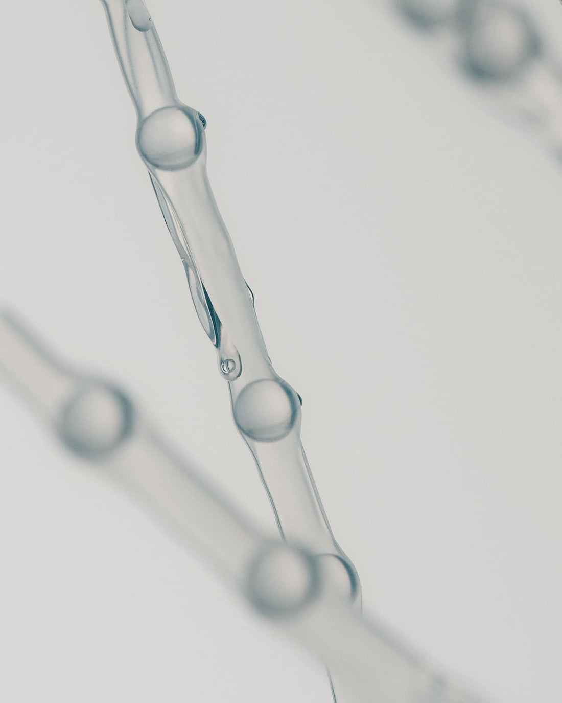 Probiotique flore intestinale Digest Delight de Kosbiotic®, formule ...